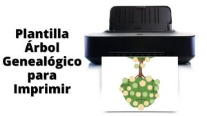 1️⃣ Árbol Genealógico En Inglés - Family Tree In English | >>