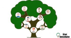 1️⃣ Árbol Genealógico En Inglés - Family Tree In English | >>
